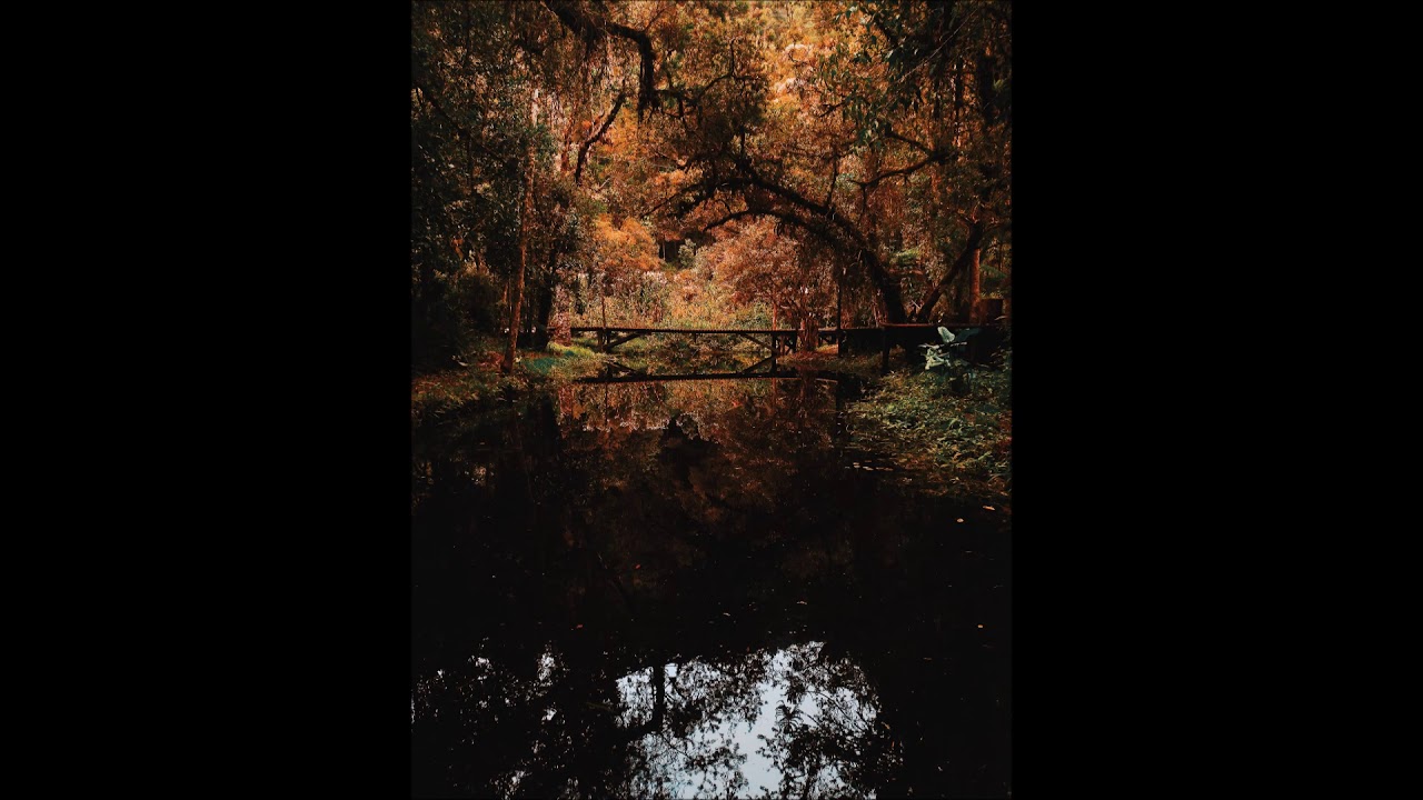 When the leaves come fall down - YouTube