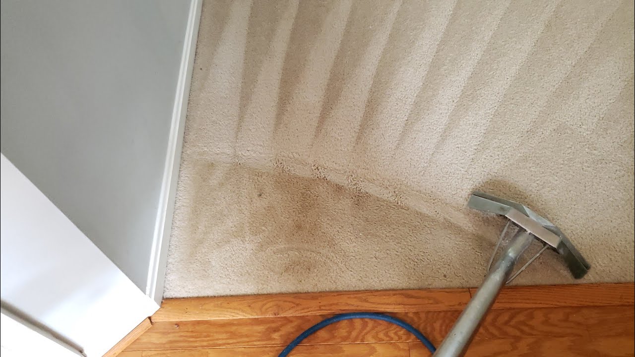 Crazy extraction on FILTHY nylon Carpet| Part 3 of 3 | Looks new again ...