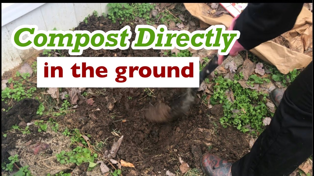 How to Compost Directly in the Ground #compostinground # ...