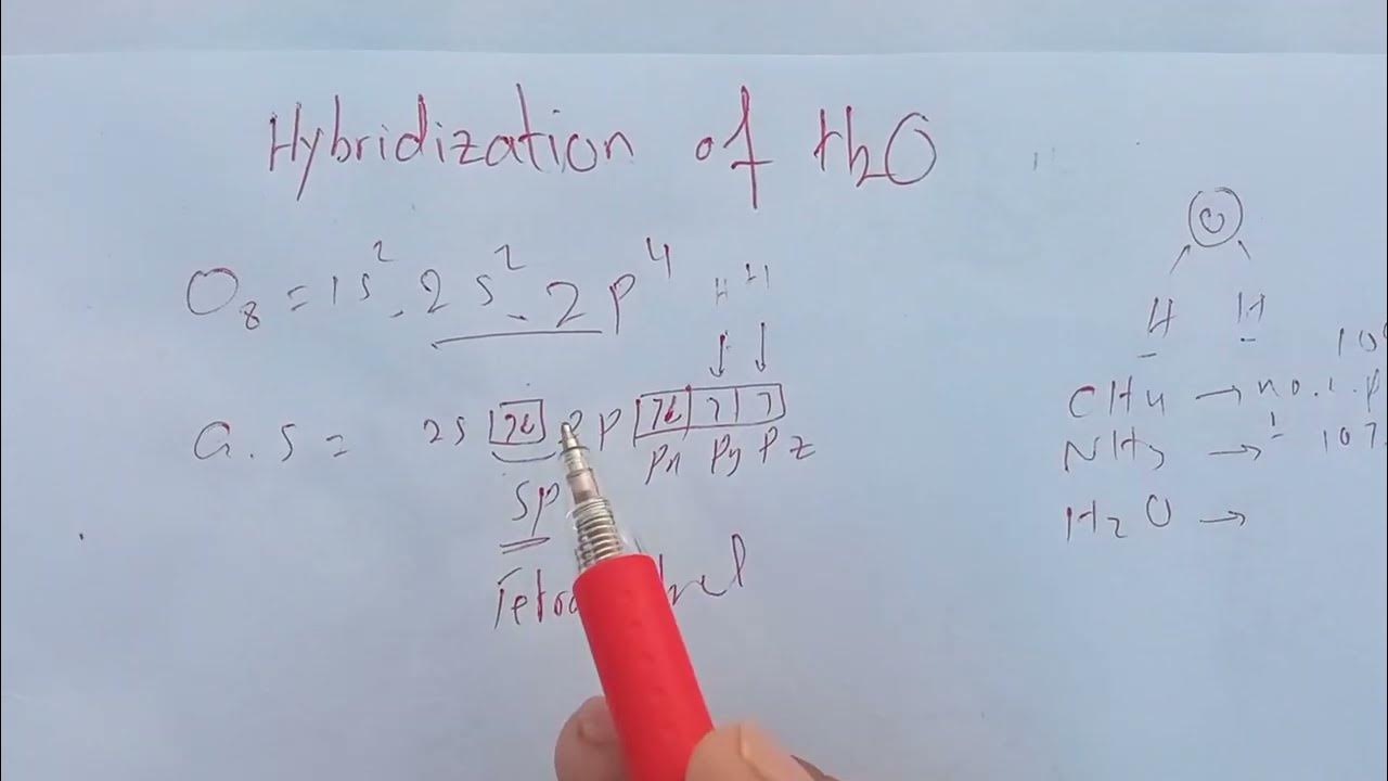 Hybridization Of H2o Class 11 Chemistry Sp3 Hybridization Of Water