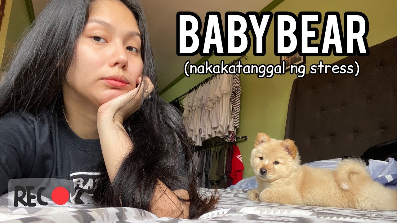 VLOG 019 LOVE AT FIRST SIGHT (Hindi ako dog lover pero) - YouTube