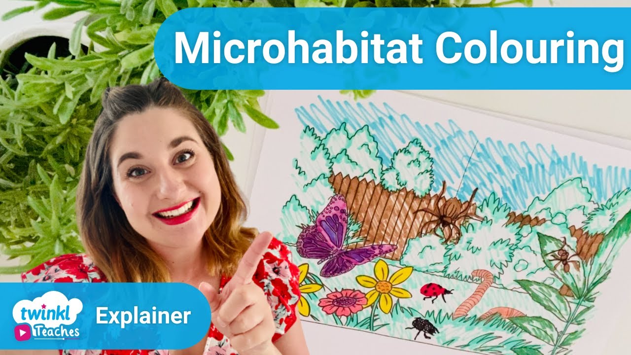 Microhabitat Colouring Sheets | Twinkl Teaches - YouTube