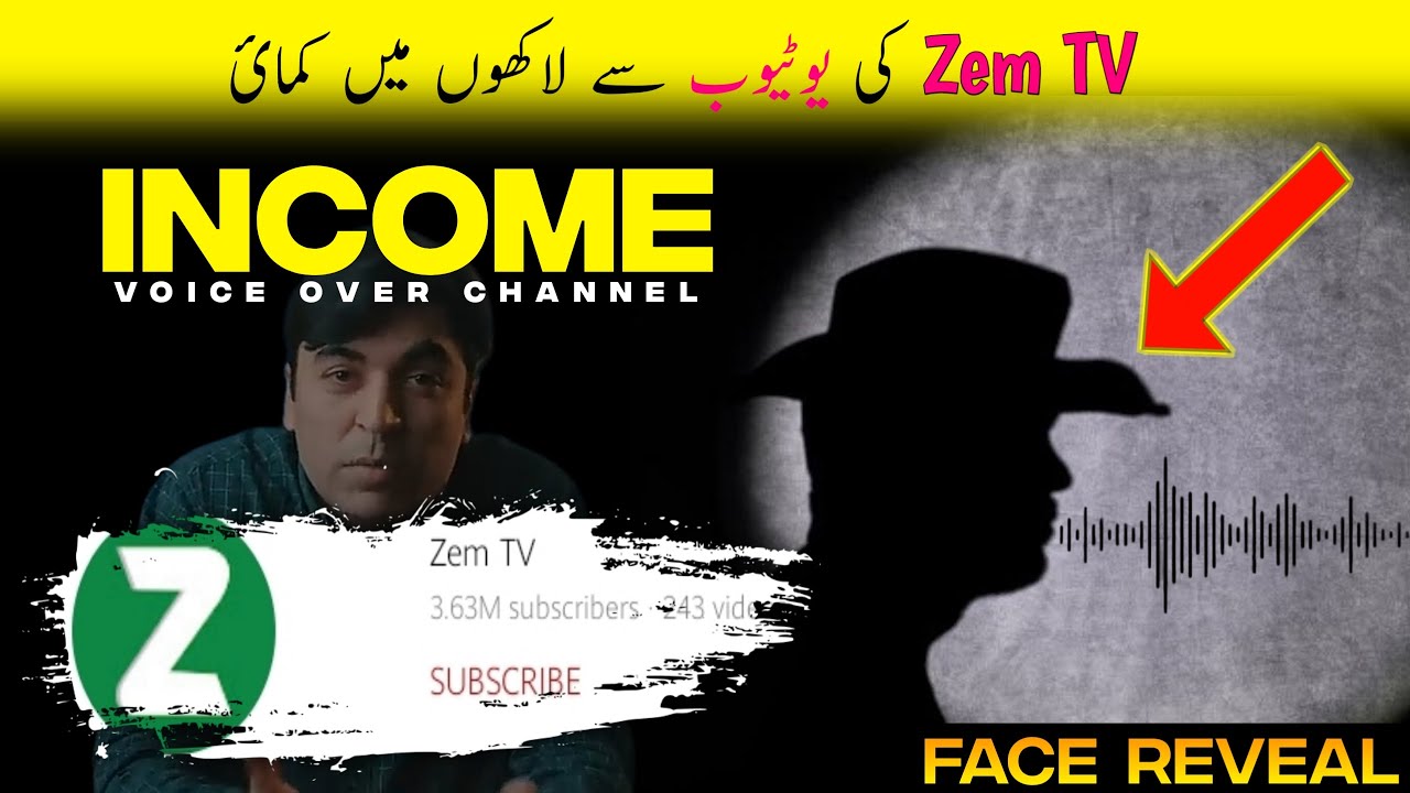 Zem TV YouTube Income | Zem TV Voice Over YouTube channel | Malik Ameer Hamza - YouTube