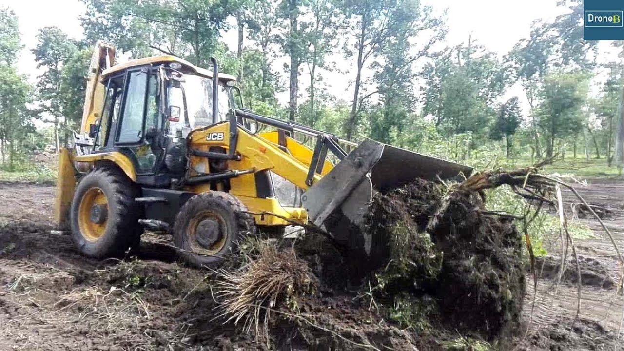 JCB Dozer Felling Tree - Leveling Park Ground - YouTube