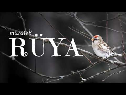 Mübarek Rüya