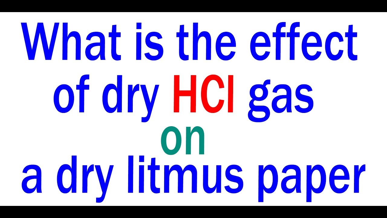 What Is The Effect Of Dry HCl Gas On A Dry Litmus Paper YouTube what-is-the-effect-of-dry-hcl-gas-on-a-dry-litmus-paper-youtube