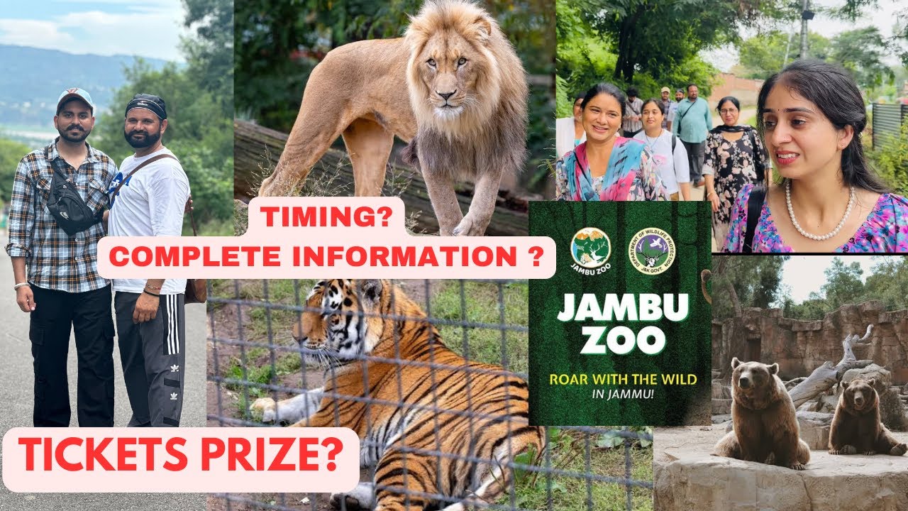 WE VISITED JAMBU ZOO🦍🐯🦁|| JAMMU KASHMIR|| @vlogwithshubm - YouTube