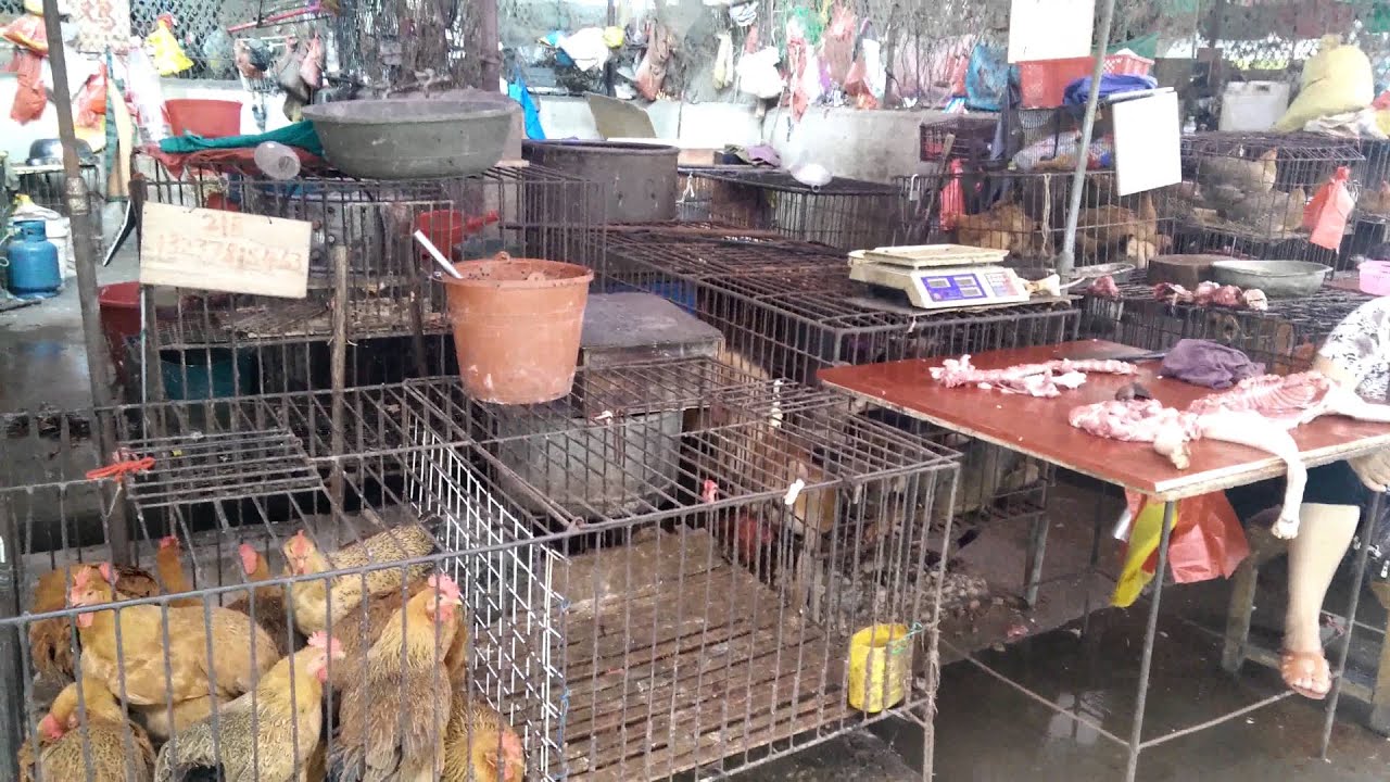 [CHINA] STREET MEAT MARKET DOG IN CHINA NANNING - viande de chien chine ...