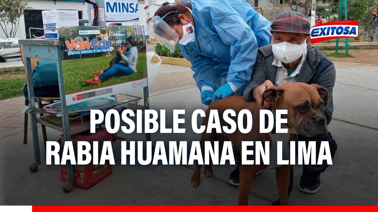 🔴🔵Rabia humana en el Perú: Ministro de Salud informa un posible caso en ...