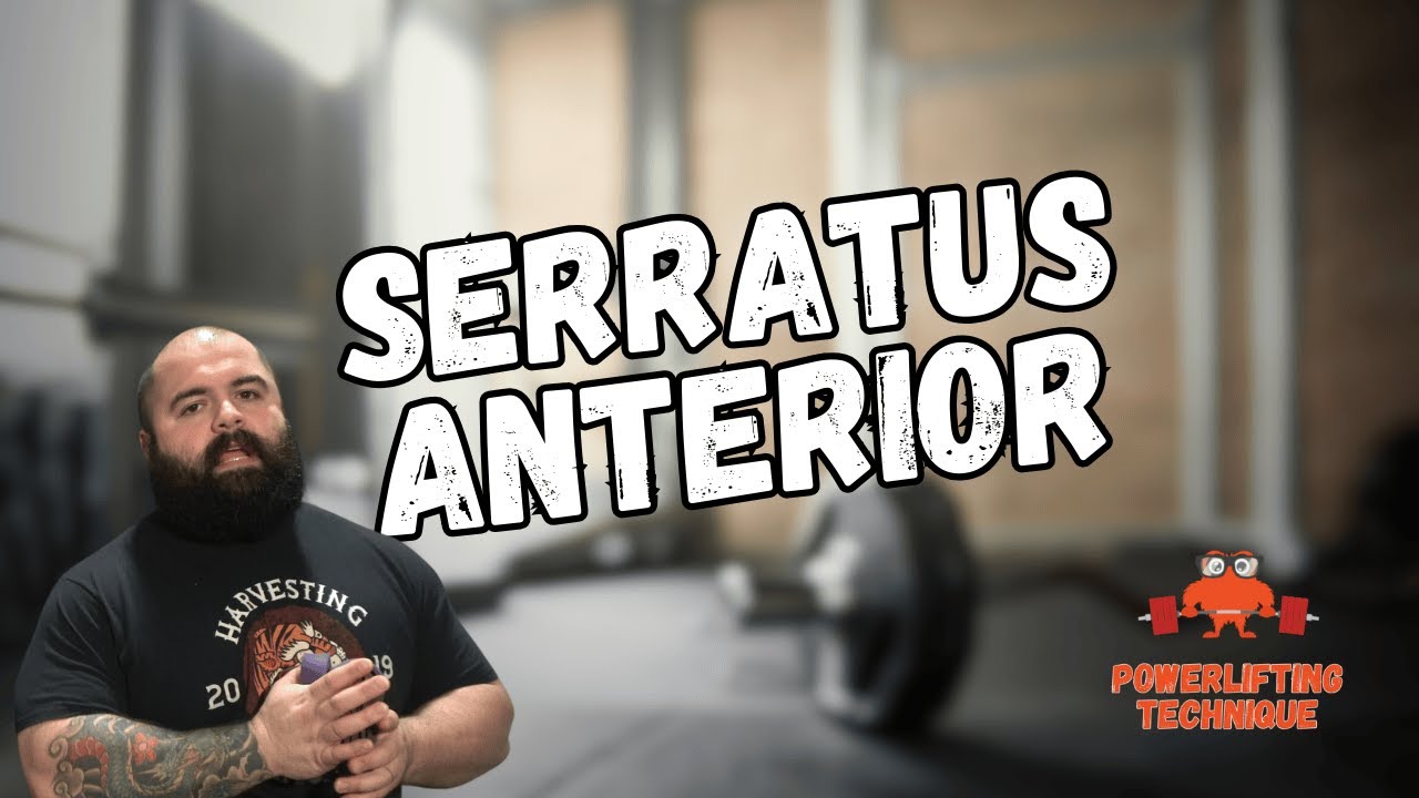 The Boxer's Muscle | 2 Ways to Train Your Serratus Anterior - YouTube