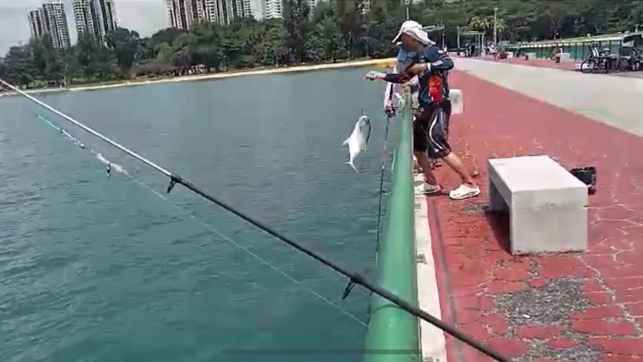 Bedok Jetty, today all fish around last bus stop, let’s see tomorrow ...