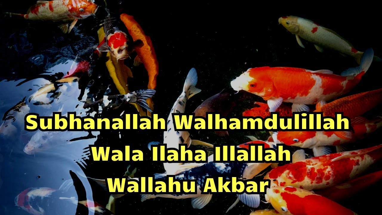 Zikir Subhanallah Walhamdulillah Walailahaillallah Wallahu Akbar *17 ...