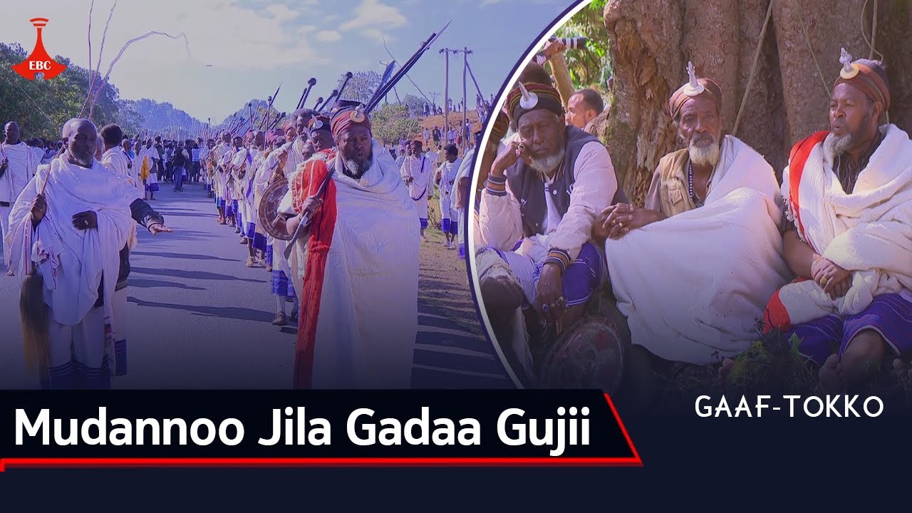 GAAF-TOKKO- Mudannoo Jila Gadaa Gujii - YouTube