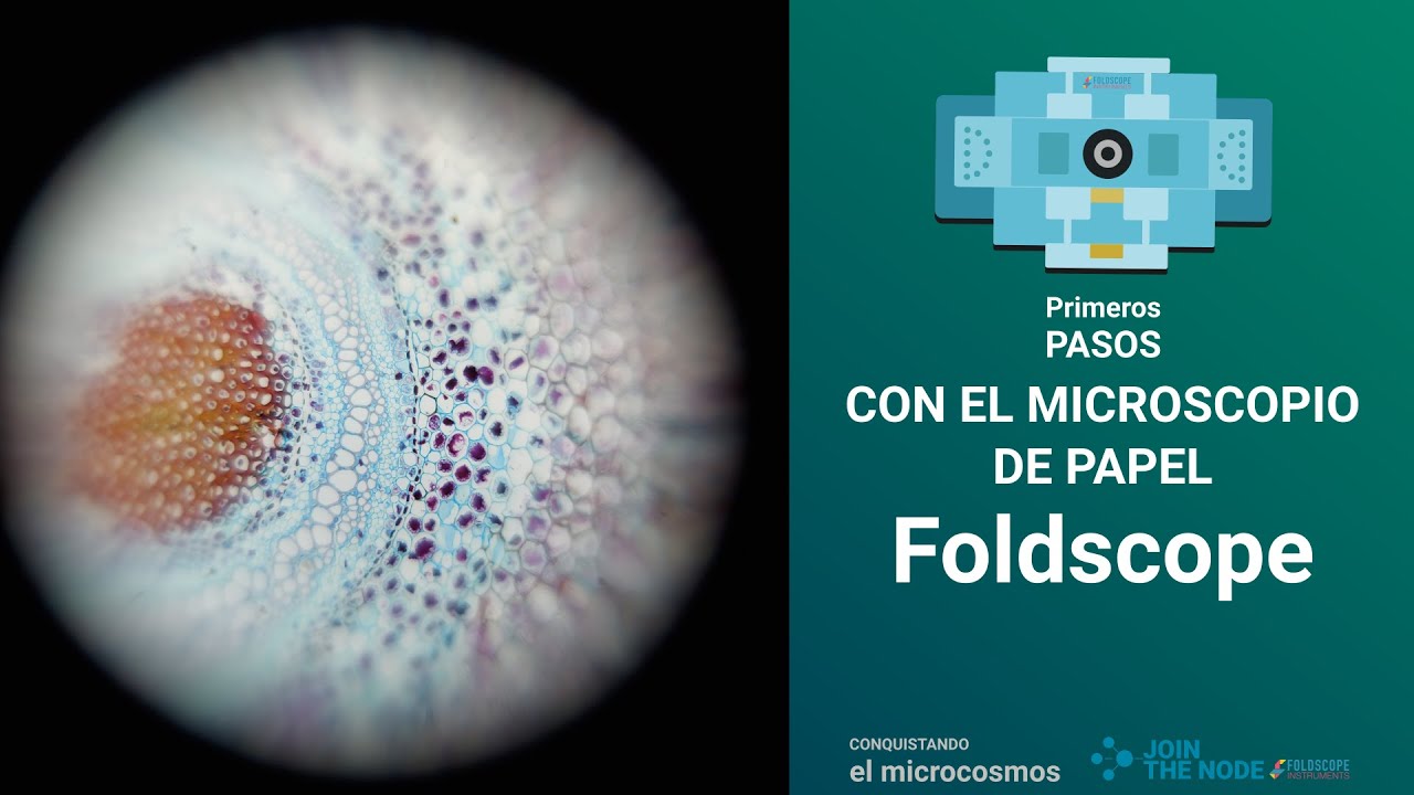 Primeros pasos con el microscopio de papel Foldscope - YouTube