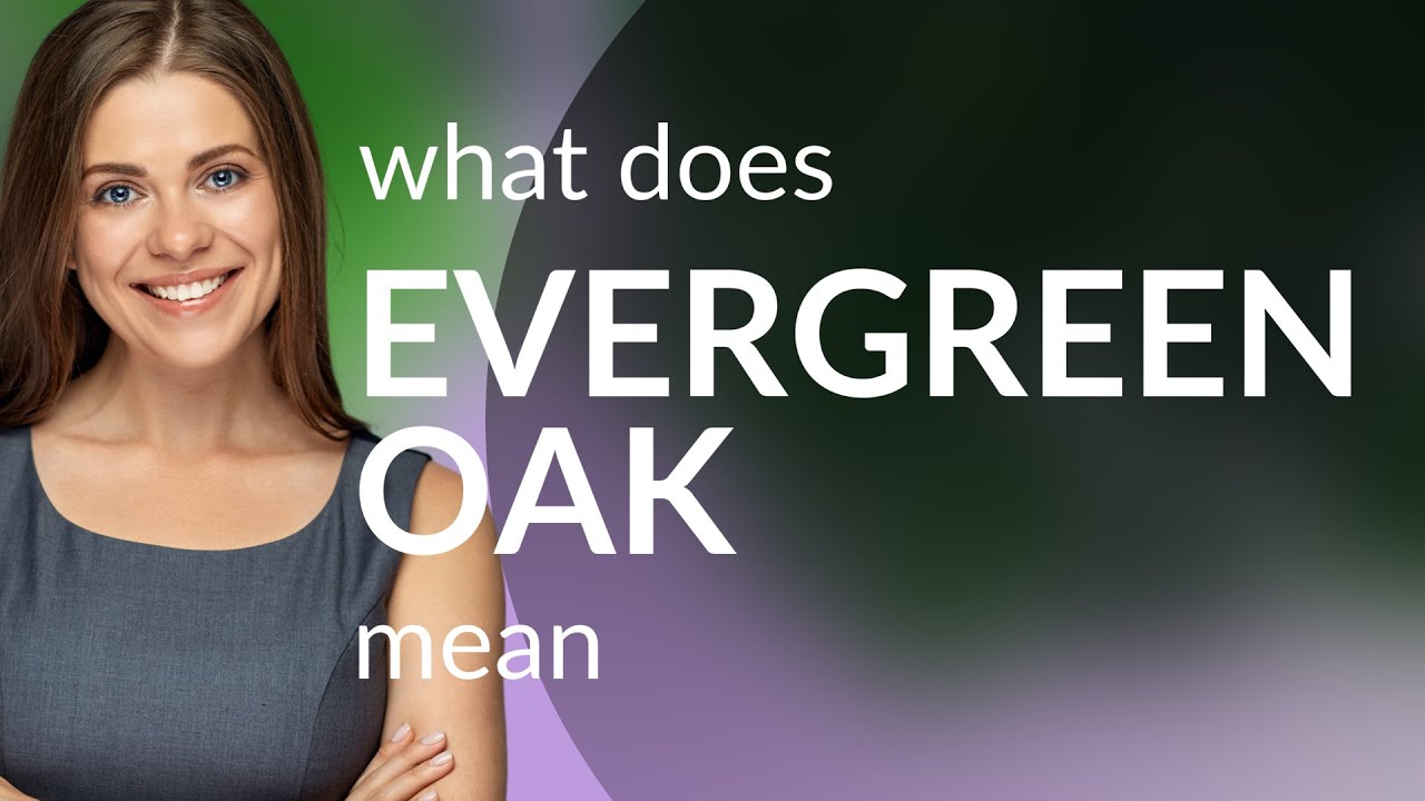 Evergreen oak • definition of EVERGREEN OAK - YouTube