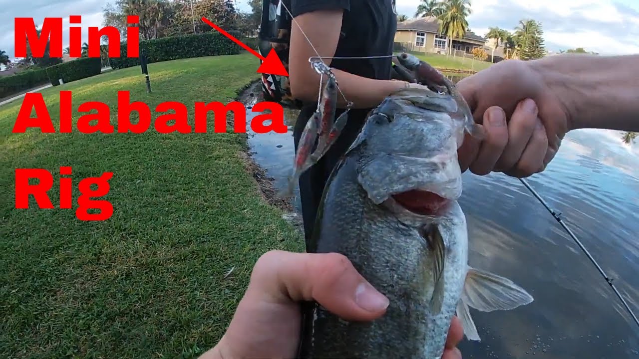 Testing This Mini Alabama Rig For BIG BASS!!! - YouTube