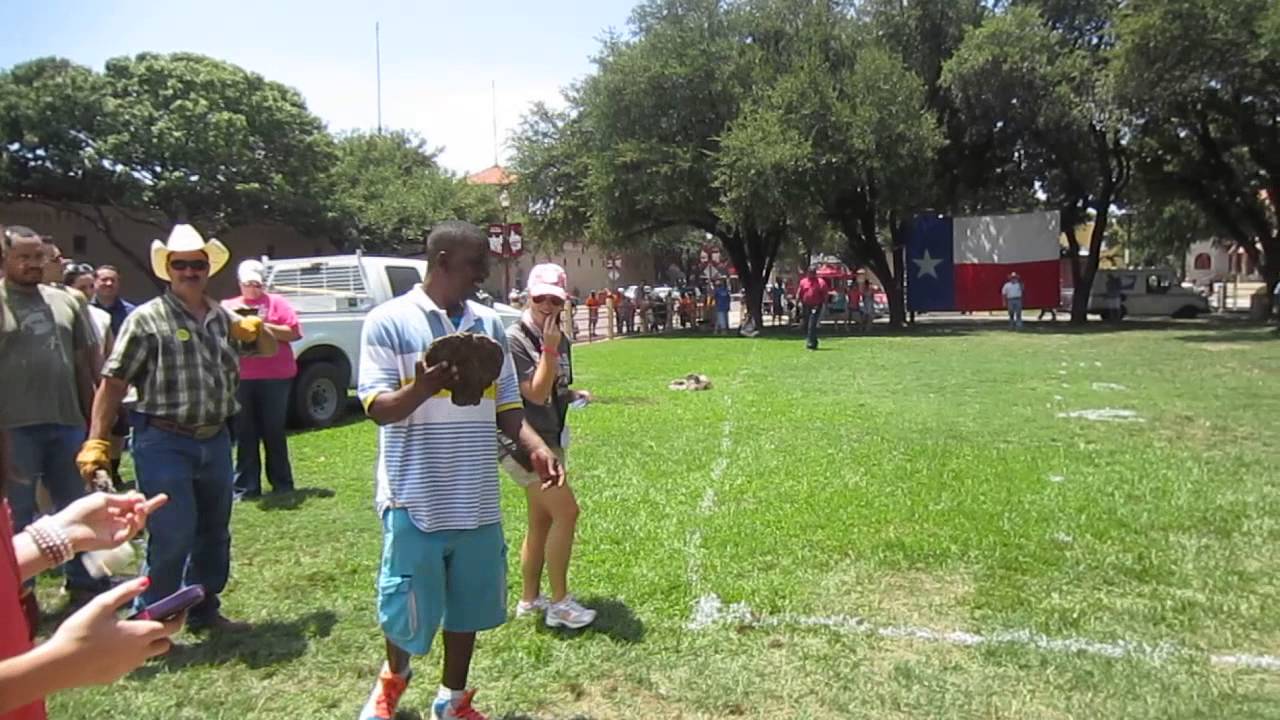 Cow pie throwing contest - YouTube