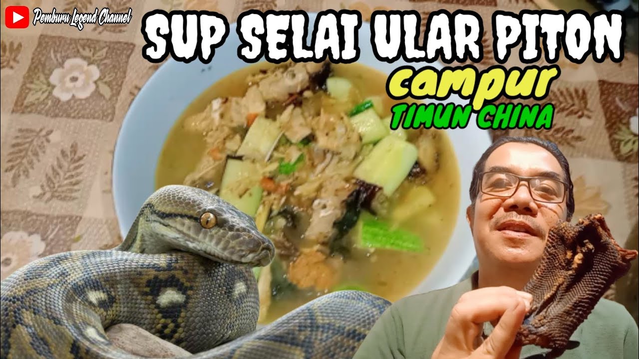 RESEP DAN CARA MASAK SUP ULAR PITON ( SAWA ) ASAP / SELAI CAMPUR TIMUN ...