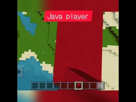 Java Player vs Bedrock Player - YouTube