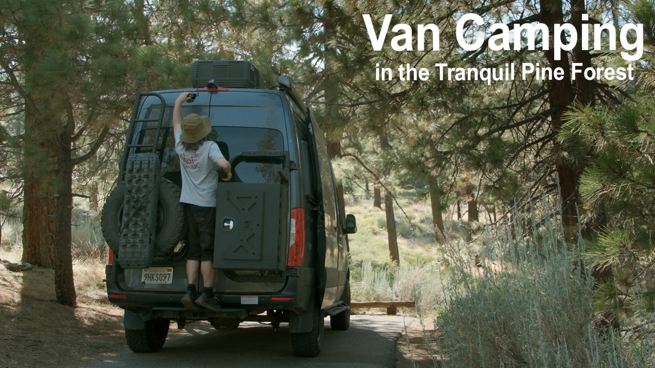 Van Life Surrounded by Towering Pines and the Gentle Breath of the ...