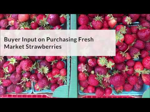 Buyer Input on Purchasing Fresh Strawberries - YouTube