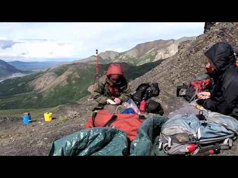 Dr. Tony Fiorillo and team dino dig - YouTube