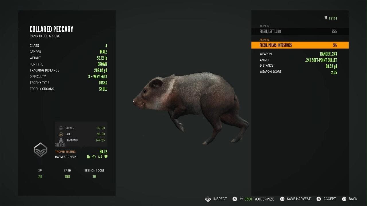 The Hunter: Call of the Wild - a group of Collared peccary - YouTube