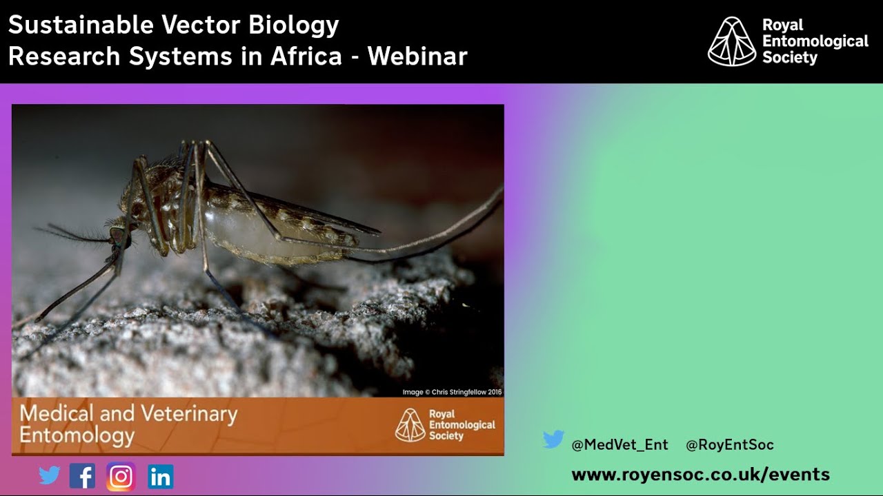 Sustainable Vector Biology Research Systems in Africa – Webinar - YouTube