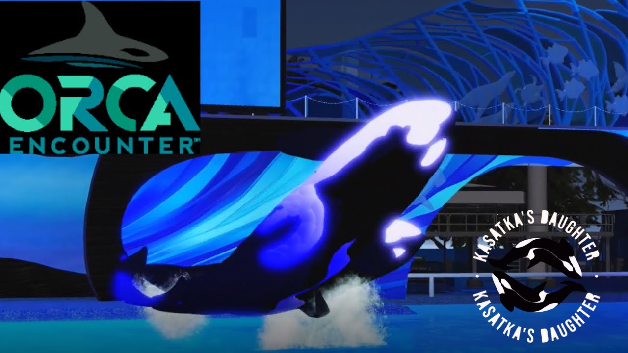 Orca Encounter At Night!! -7/27/2024- (SWAP Seaworld Orlando Roblox ...