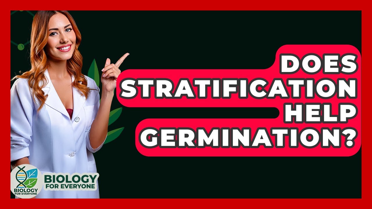 Does Stratification Help Germination? - Biology For Everyone - YouTube