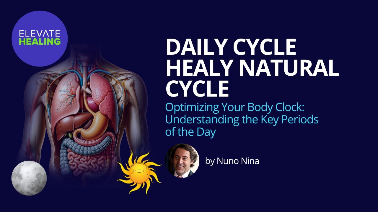 Daily Cycle Healy Natural Cycle by Nuno Nina - YouTube