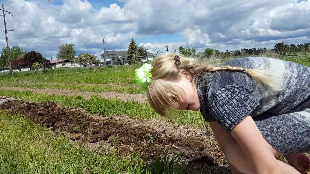 Beautiful Tiny Farm Tour - YouTube