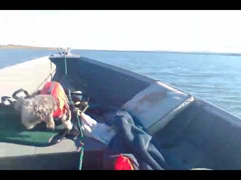 12 foot aluminum Gregor with 15 hp gamefisher going 20 mph - YouTube