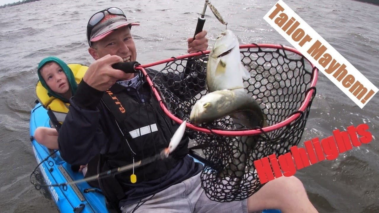 Perth kayak fishing | Tailor Mayhem highlights - YouTube