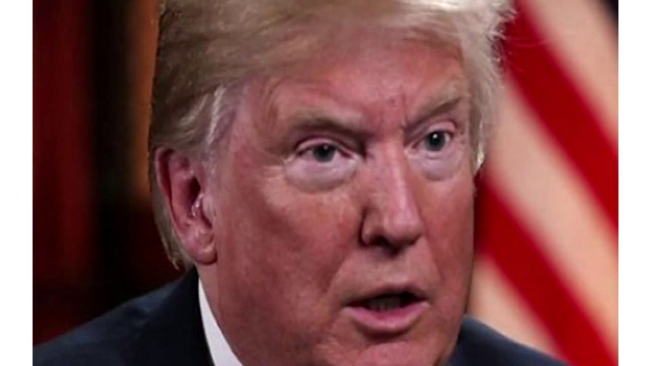 ANCAP MEMES IN 2019 - YouTube