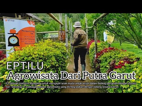 Agro Wisata Eptilu Fresh From Farm Buah Tangan Generasi Muda Garut ...