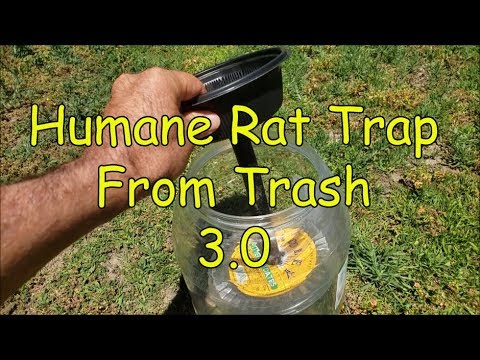 Humane Live Rat Trap from Trash 3.0 - YouTube