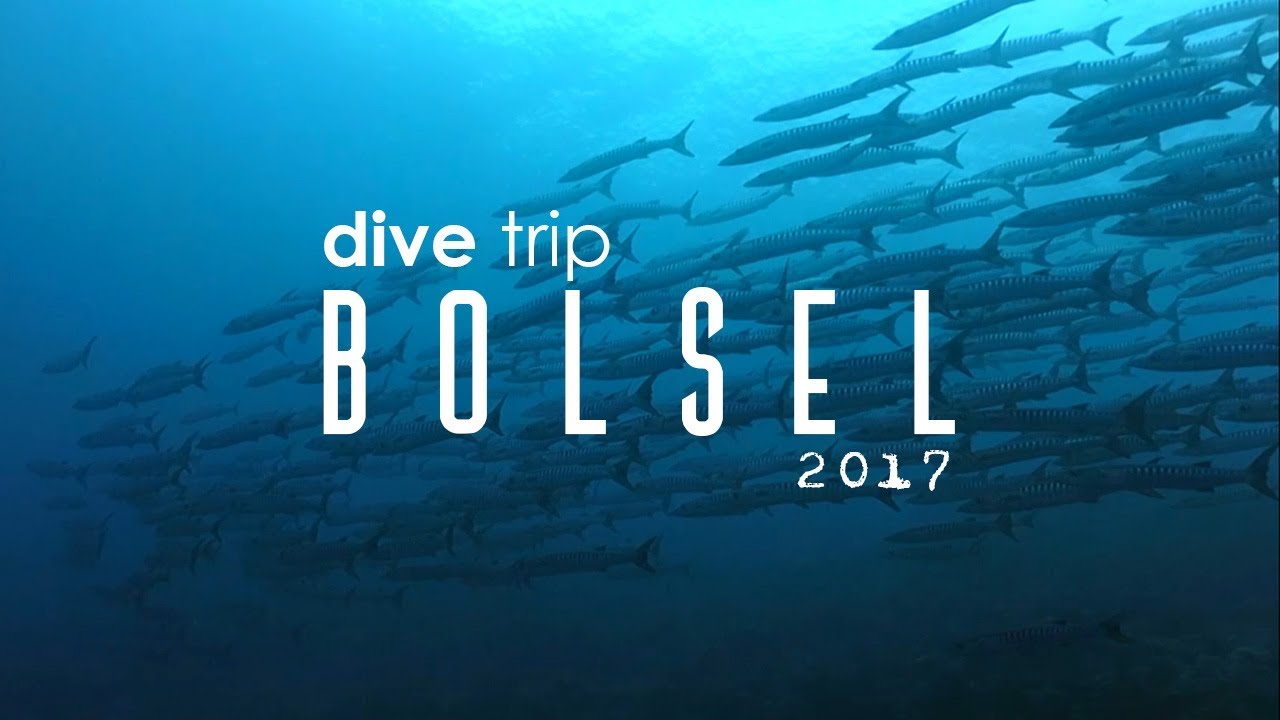 Bolsel Dive Trip 2017 - YouTube