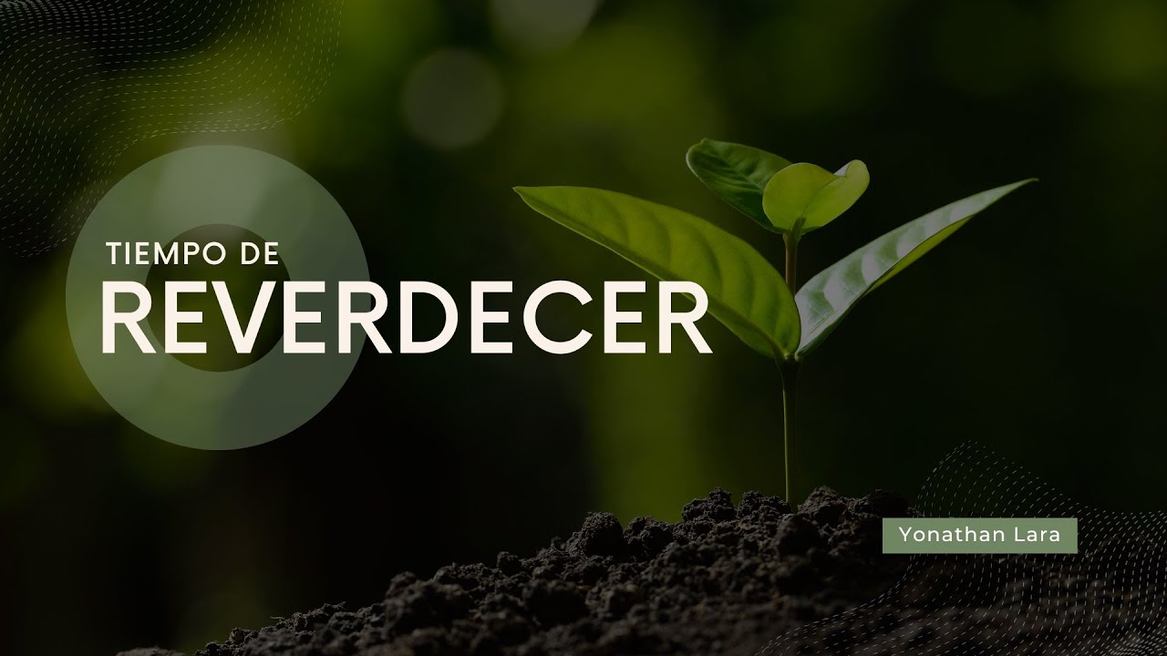 TIEMPO DE REVERDECER - YouTube