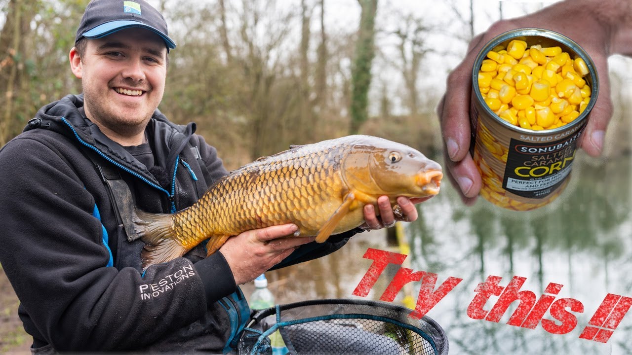SWEETCORN CATCHES CARP! 🌽 | Matty Dawes | at Weston Pools - YouTube
