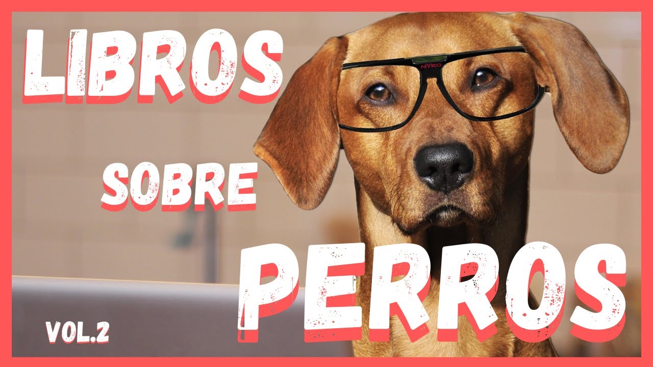 💥6 LIBROS sobre PERROS y Adiestramiento Canino infaltables 💥 - YouTube
