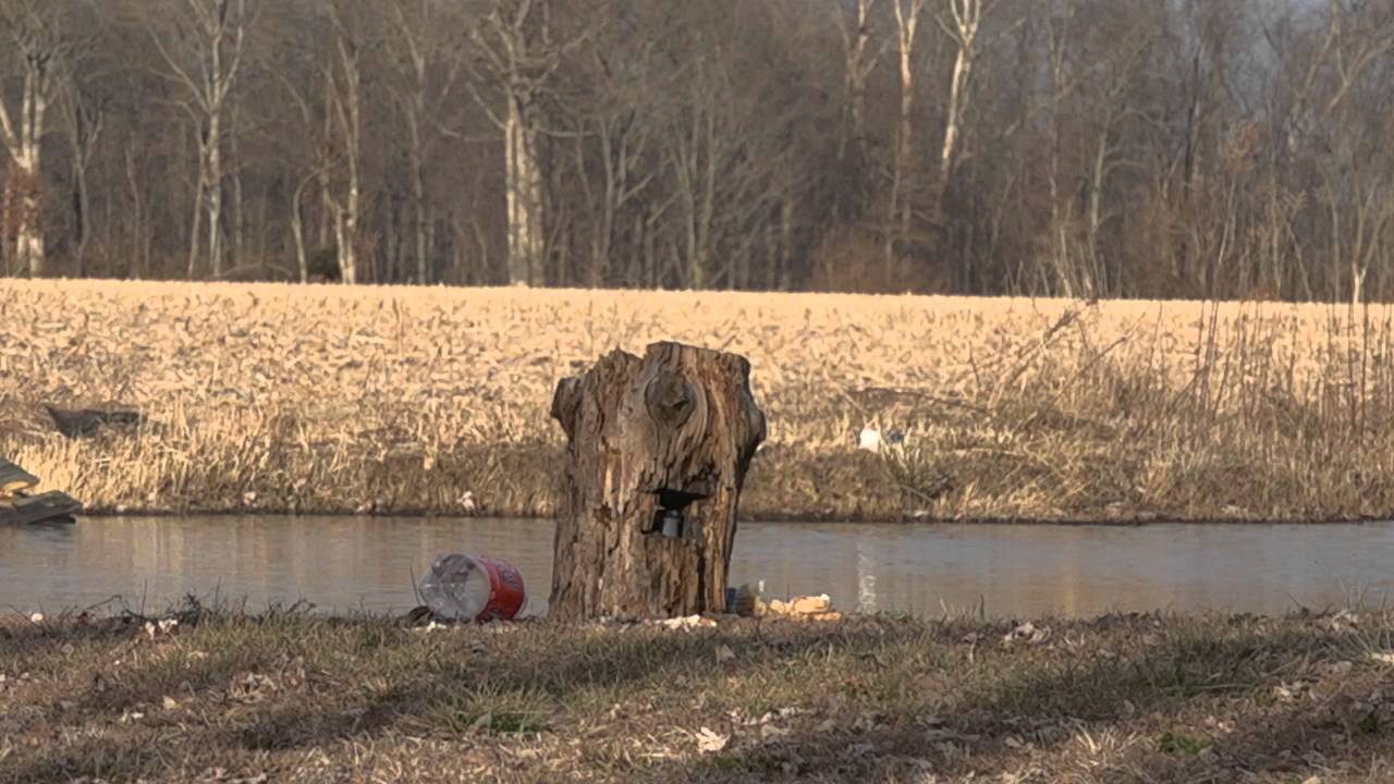 Shockwave .22 Exploding Targets Teaser - YouTube