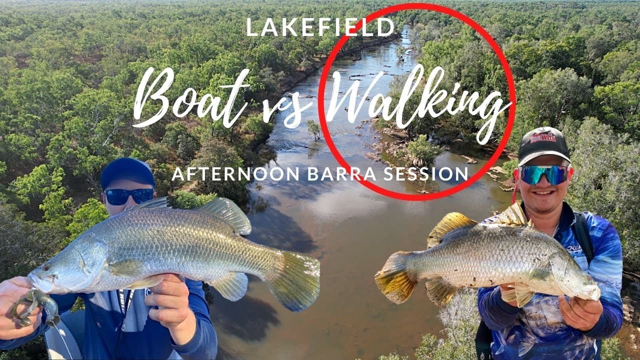 Lakefield Barra - Boat vs Walking - Late Afternoon Barra Session - YouTube