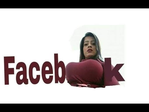 Sanayee Mahbob Live