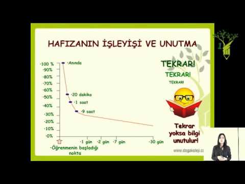 Verimli Ders Çalışma Yöntemleri