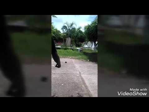 Chicuipo power vuelve ala magia - YouTube