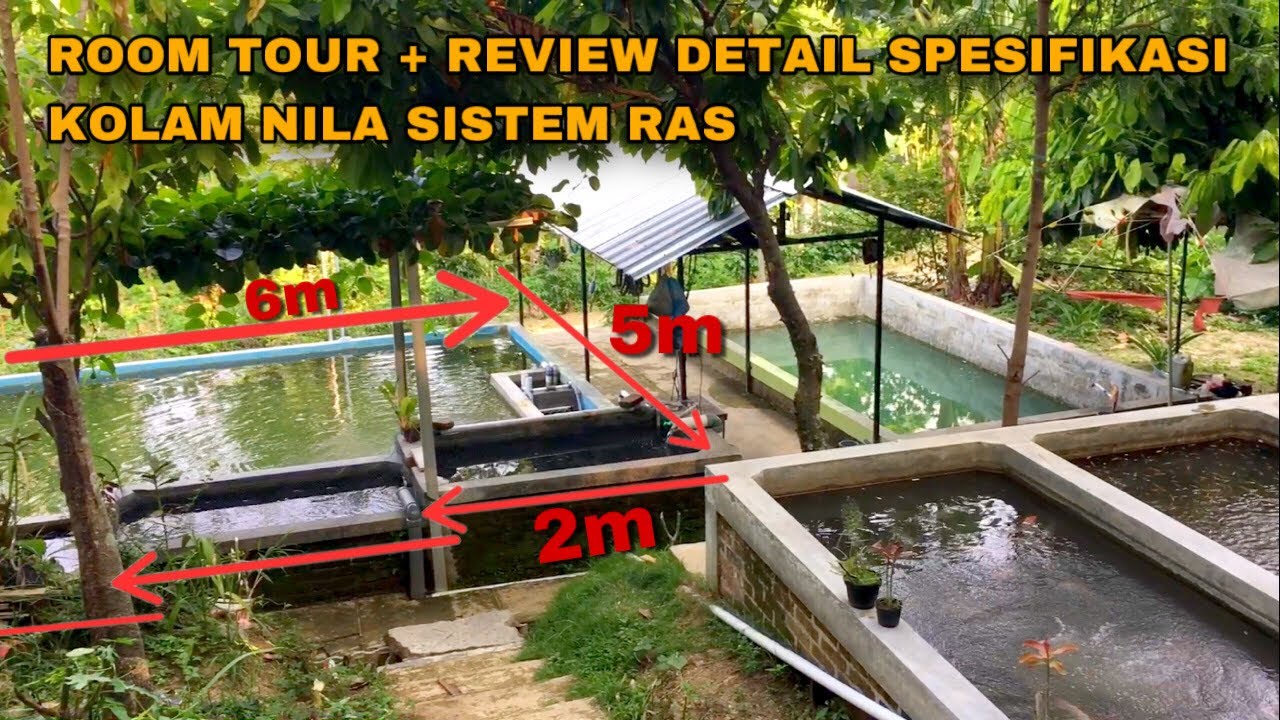 ROOM TOUR DAN REVIEW DETAIL SPESIFIKASI KOLAM BETON SISTEM RAS BUDIDAYA ...
