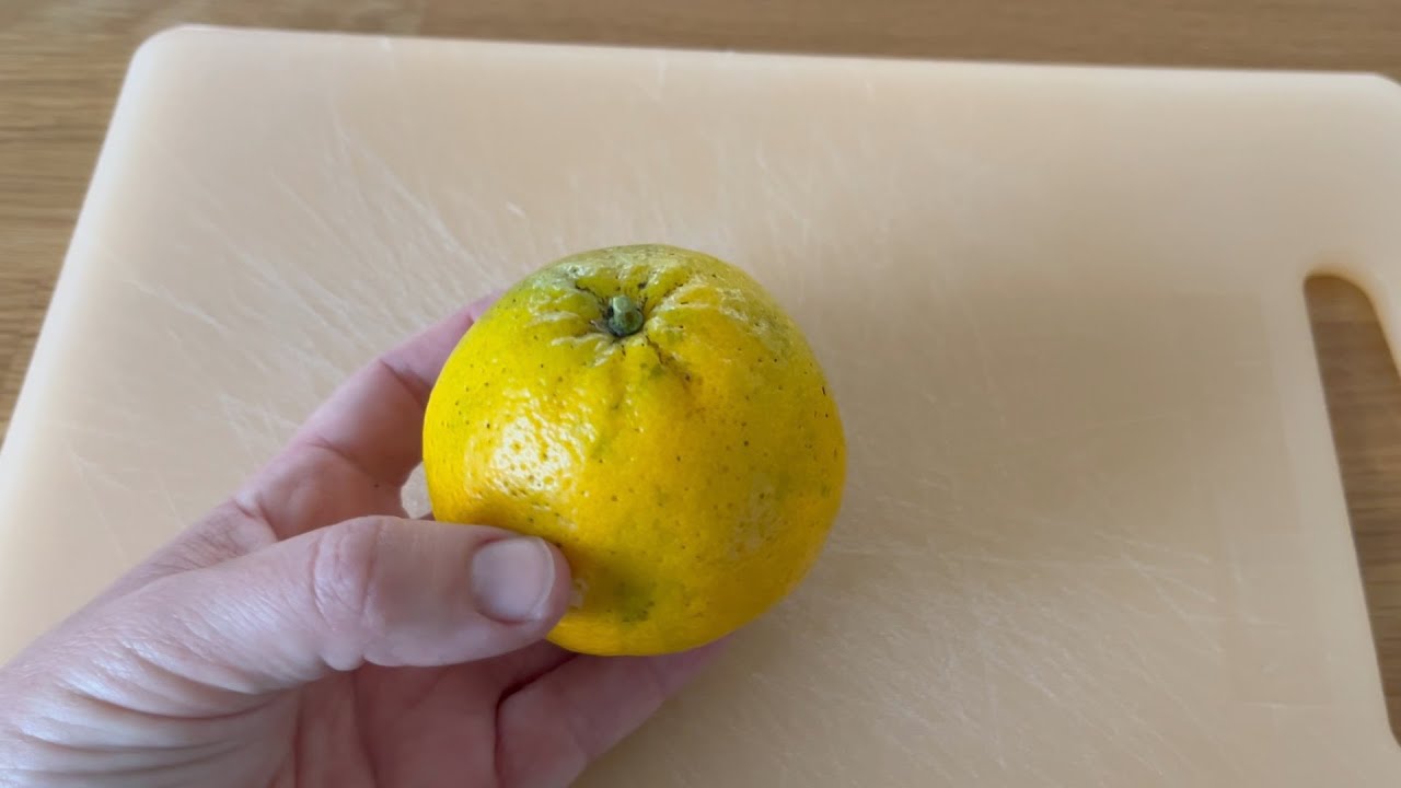 Odc. 261 - Degustacja własnych cytrusów - Tangelo Mapo (Citrus ...