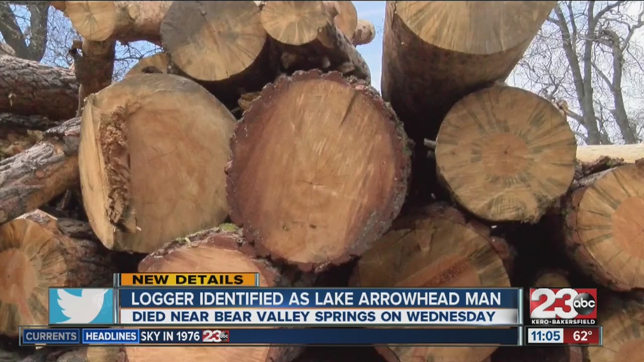 Man killed in logging accident ID'd - YouTube