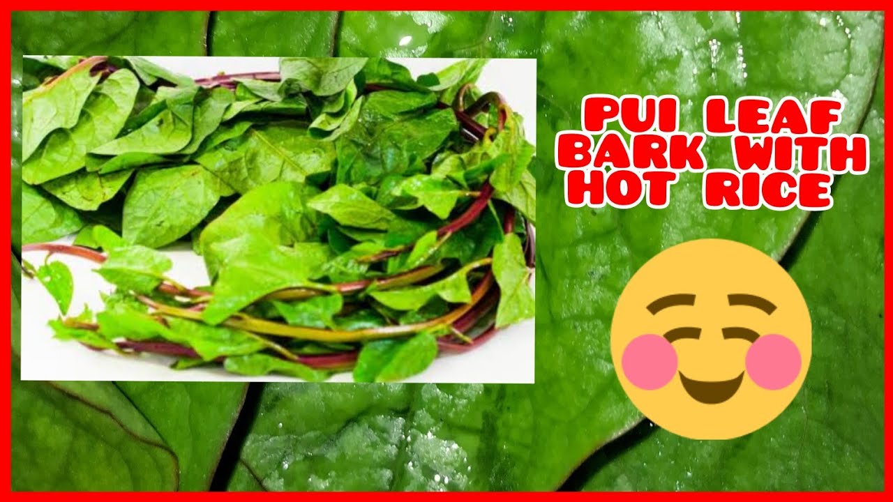 pui leaf bark with hot rice 🍚 great Taste 👍 👌 😋 😀 🙌 😊 👍 👌 😋 😀 🙌 😊 👍 👌 😋 ...